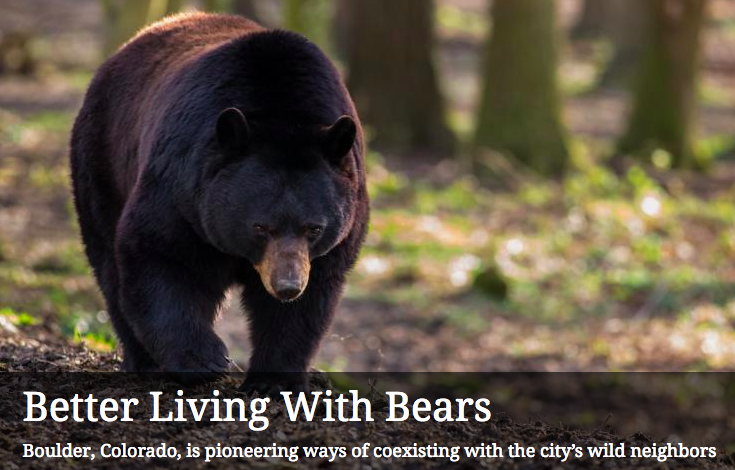 Boulder Bear Coalition | Making smart choices to protect black bears.